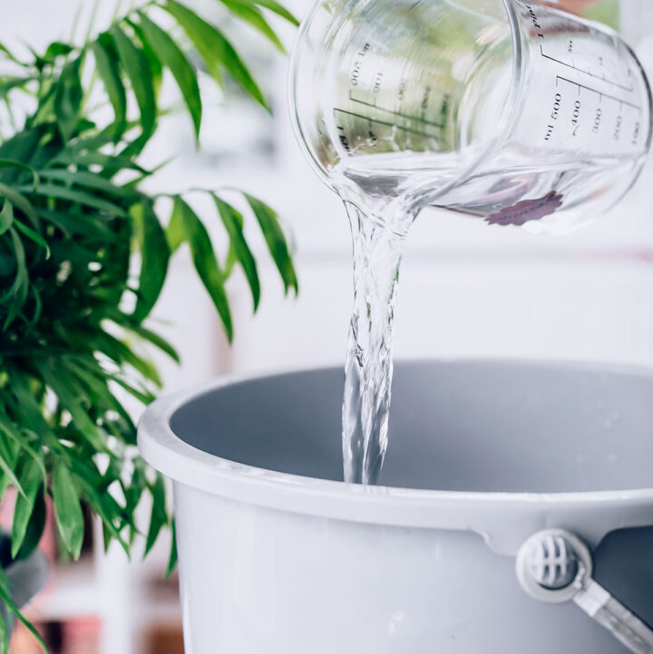 All-Natural Floor Cleaner Recipe | HelloGlow.co