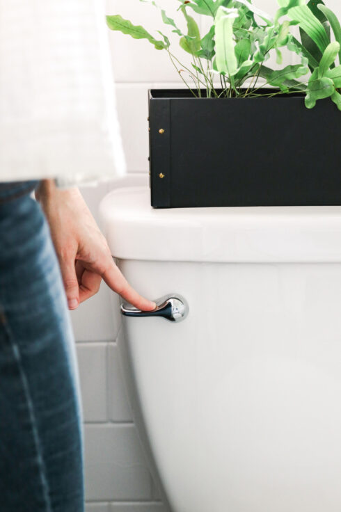 DIY Toilet Cleaning Spray with Essential Oils | Hello Nest