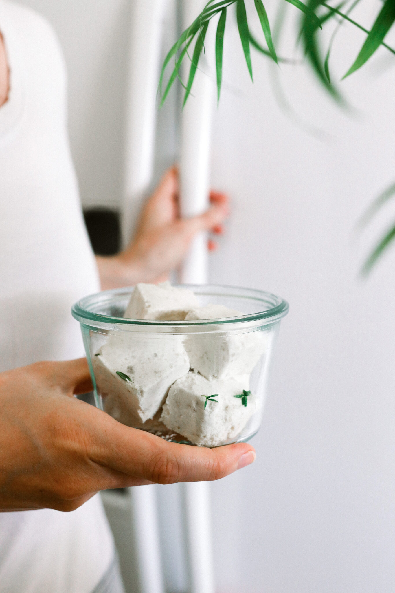 DIY Refrigerator Deodorizer Tabs Made with Essential Oils