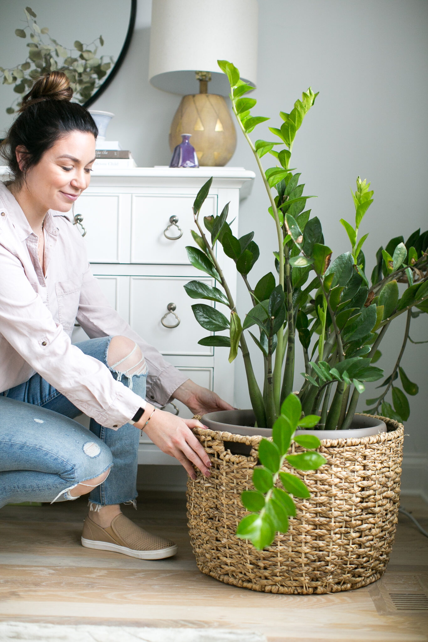 Everything You Need to Know About the ZZ Plant | Hello Nest