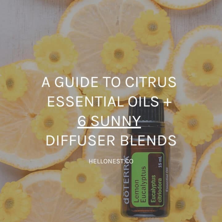 15 Must-Have Essential Oil Blends for Summer | Hello Nest