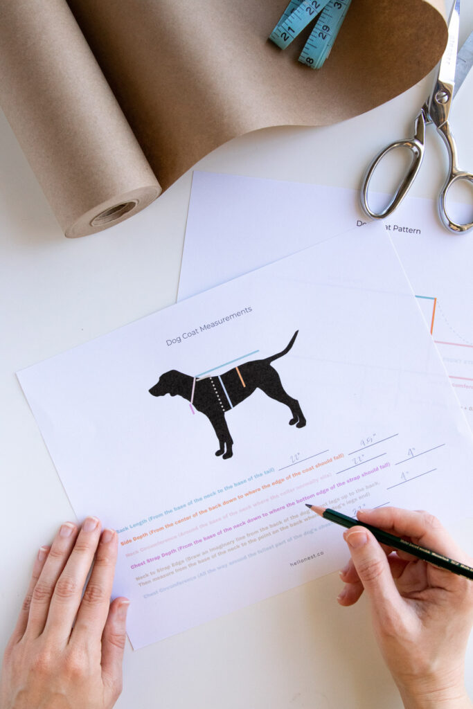 A DIY Dog Coat Your Furry Friend Will Actually Enjoy Wearing