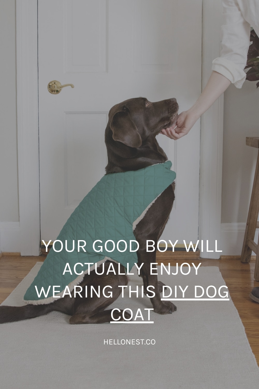 A DIY Dog Coat Your Furry Friend Will Actually Enjoy Wearing