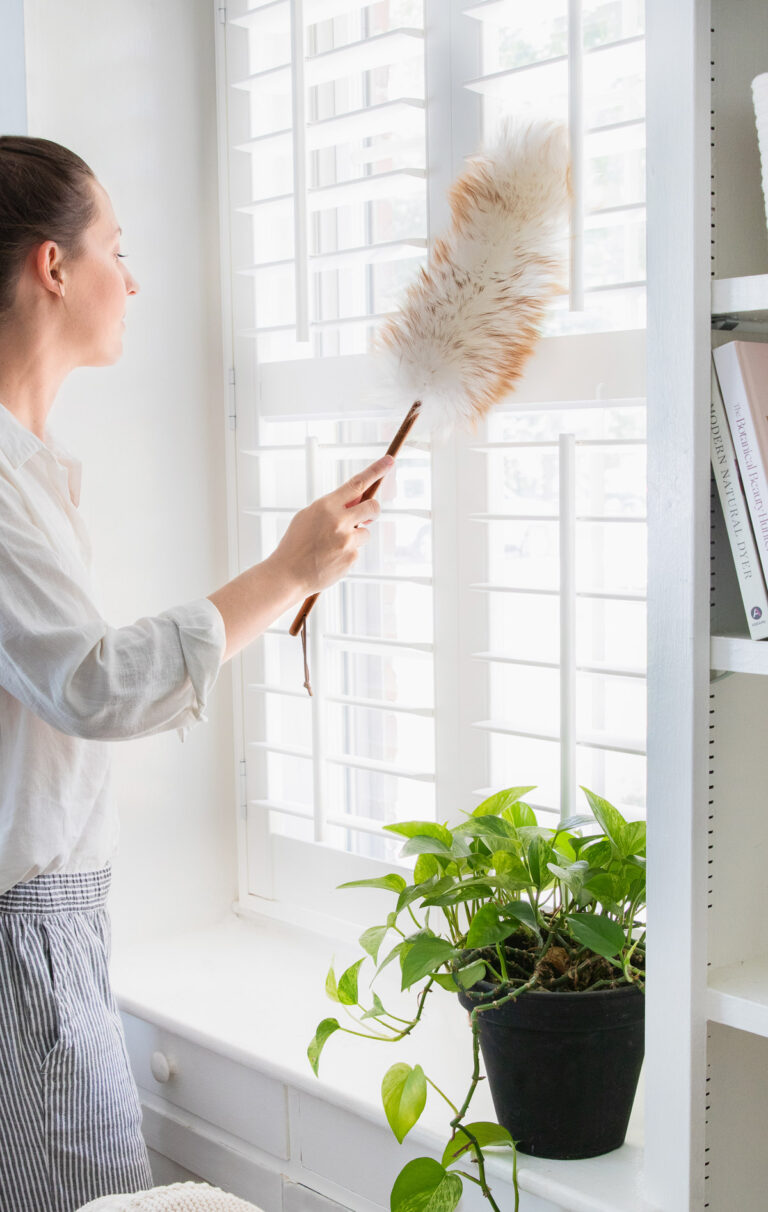 How To Dust The Right Way | Hello Nest