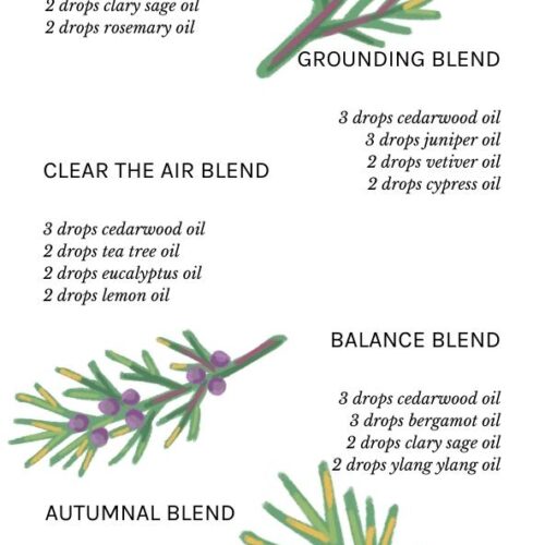 5 Essential Oil Blends To Clean The Air | Hello Nest
