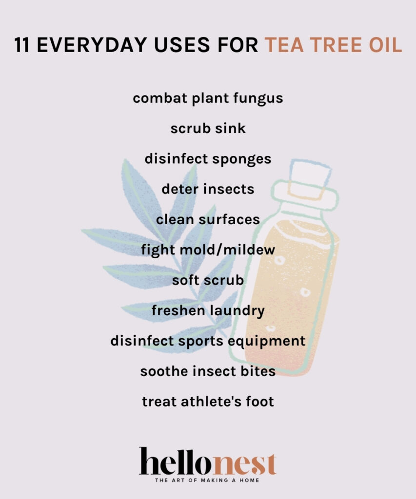 11 Ways To Use Tea Tree Oil At Home | Hello Nest