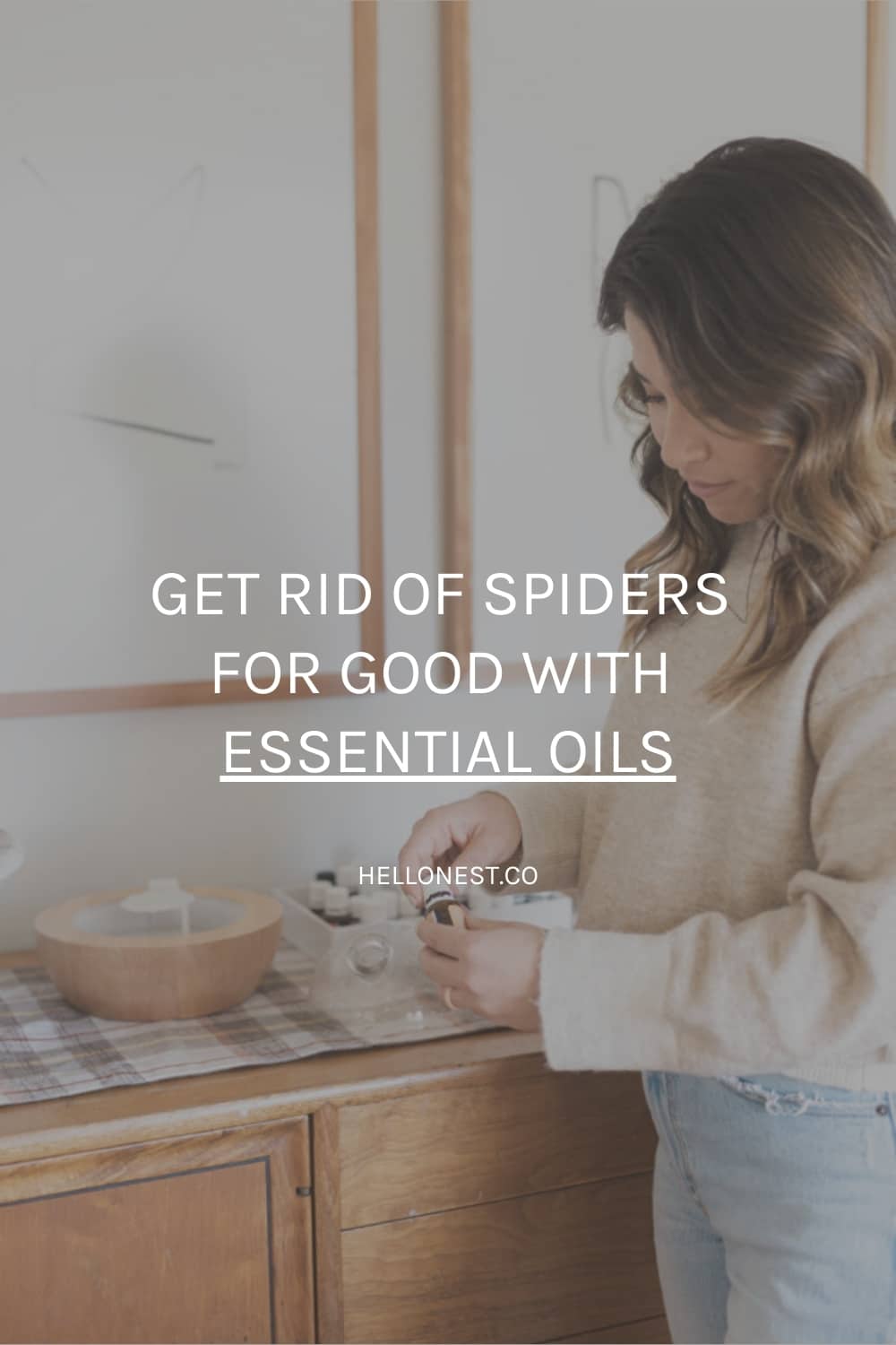 Get Rid of Spiders for Good with Essential Oils | Hello Nest