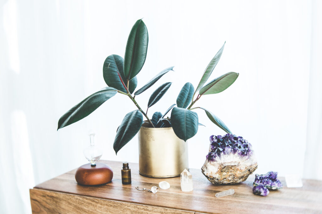 Refresh You Home + Mood with 30 Peppermint Diffuser Blends | Hello Nest