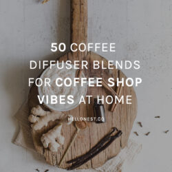 How to Use Clove Oil Around the House + 5 Diffuser Blends