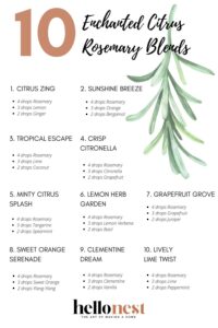 30 Rosemary Diffuser Blends To Scent Your Space | Hello Nest