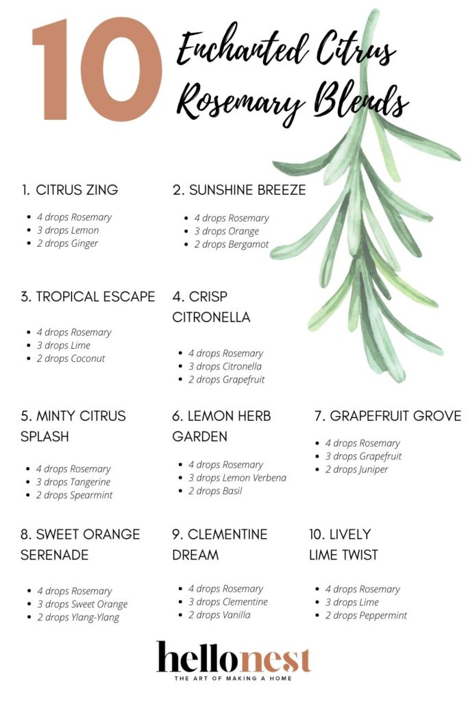 30 Rosemary Diffuser Blends To Scent Your Space | Hello Nest