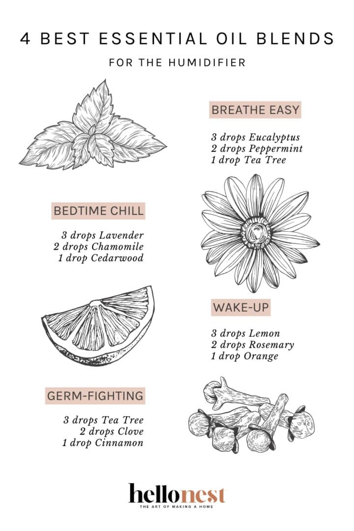 How to Use Essential Oils in a Humidifier | Hello Nest