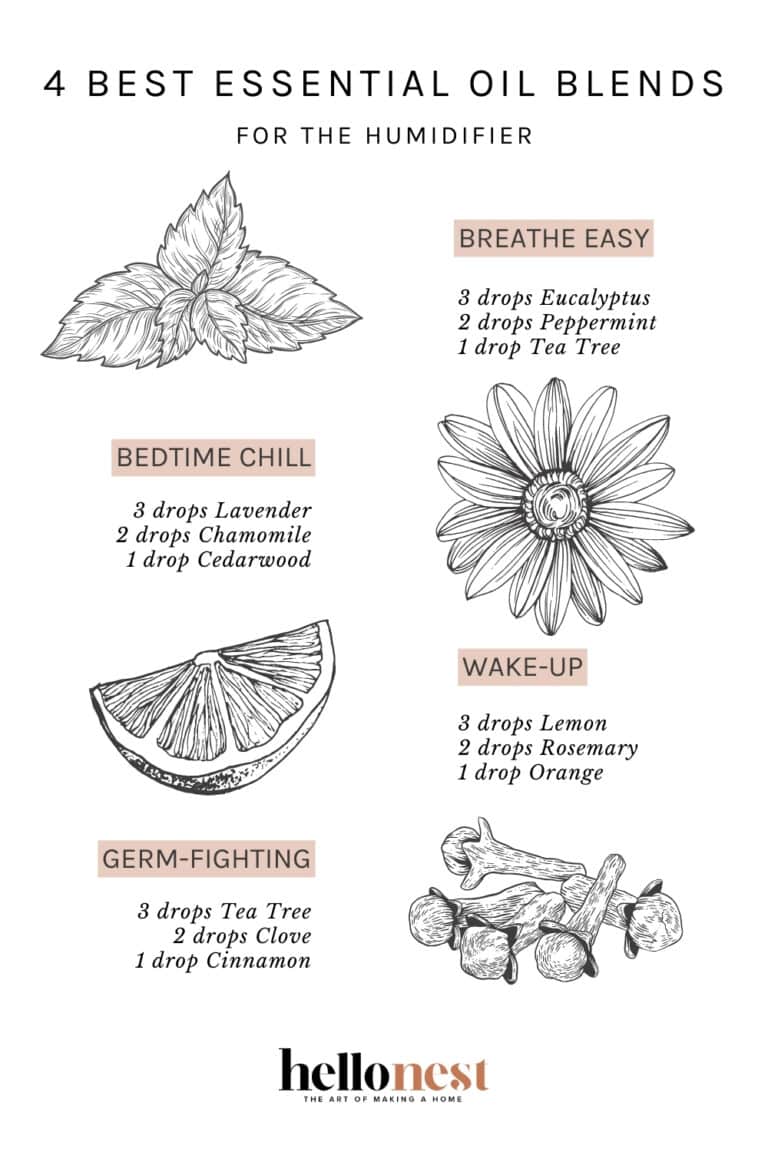 How to Use Essential Oils in a Humidifier | Hello Nest