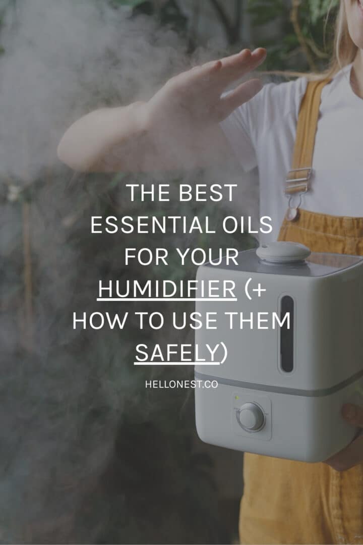 How to Use Essential Oils in a Humidifier | Hello Nest