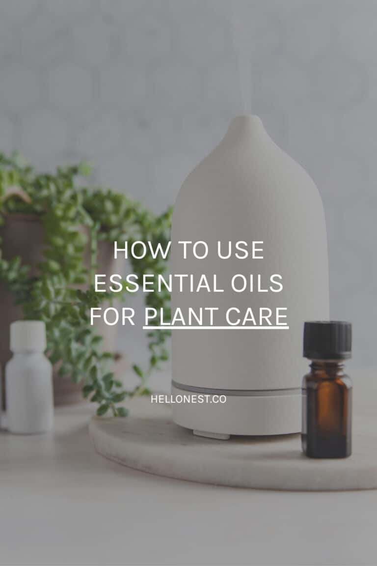 How to Use Essential Oils for Plant Care | Hello Nest