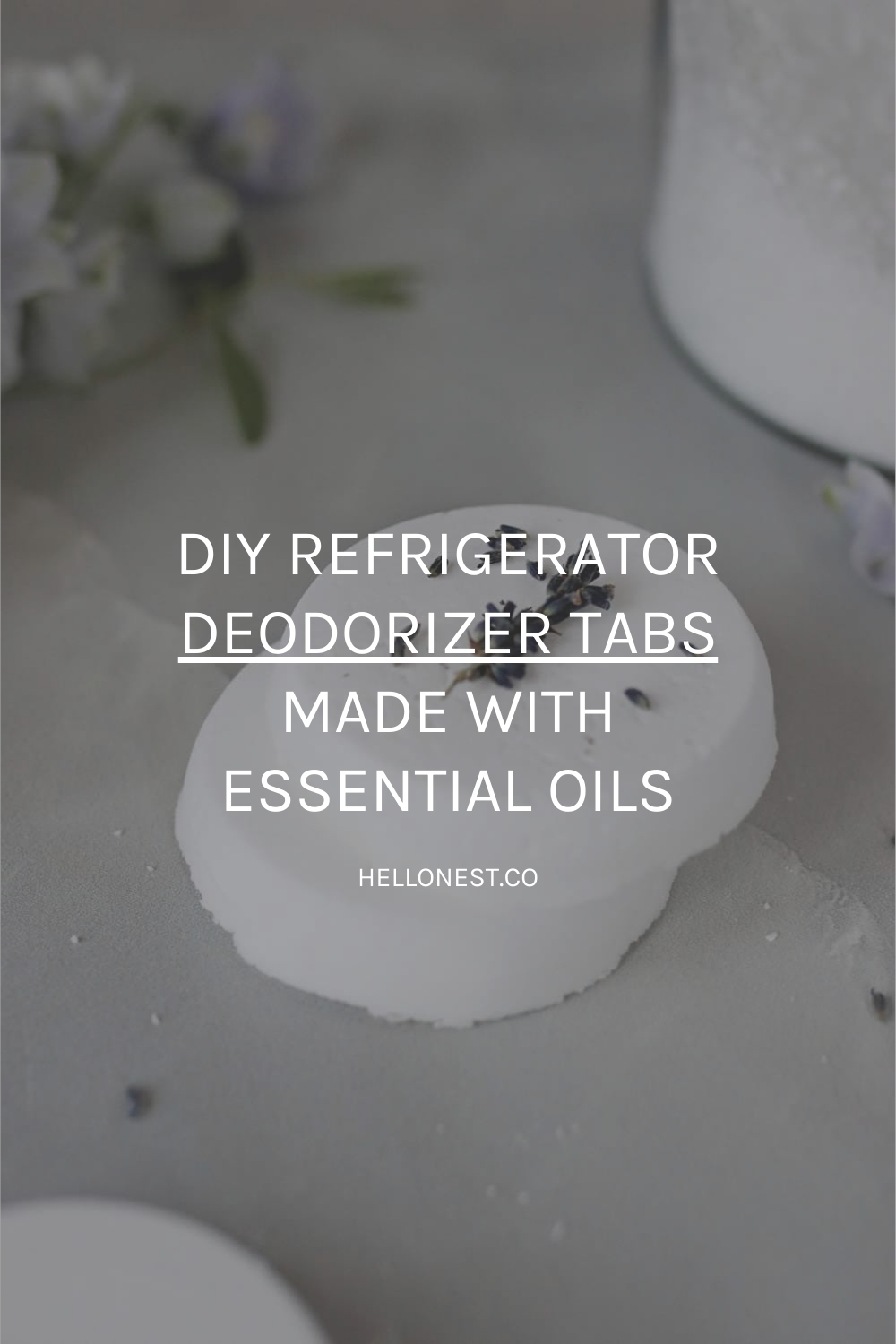 DIY Refrigerator Deodorizer Tabs Made with Essential Oils | Hello Nest