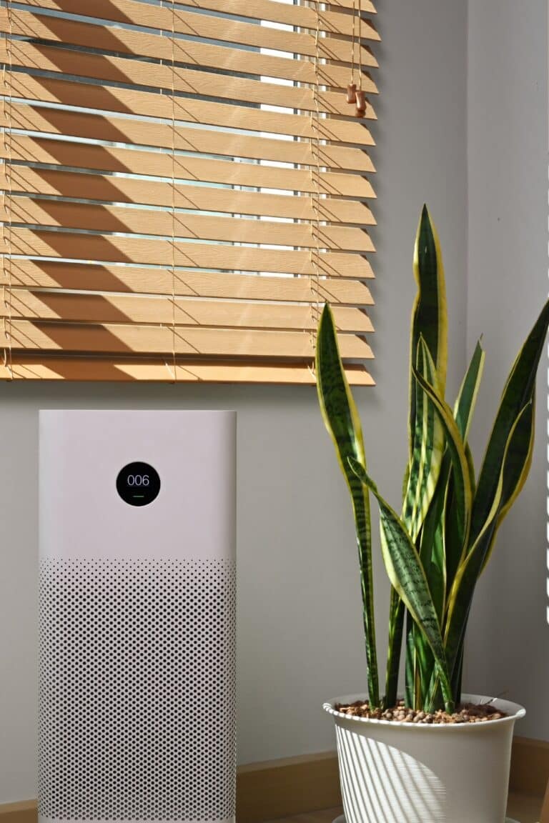 Guide to Essential Oils for Air Purifiers | Hello Nest