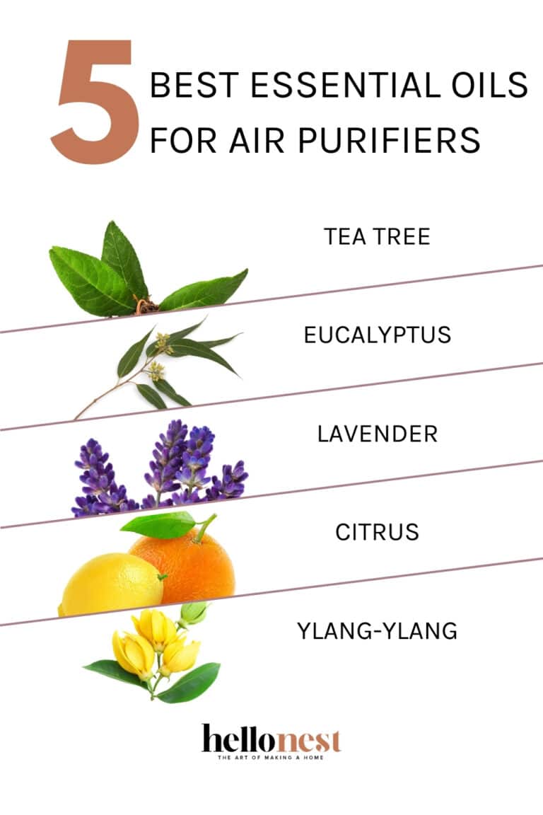 Guide to Essential Oils for Air Purifiers | Hello Nest