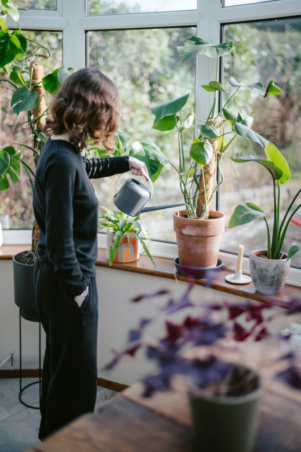 How to Decipher Plant Care Symbols + Their Meanings | Hello Nest