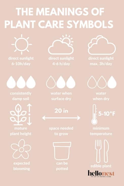 How to Decipher Plant Care Symbols + Their Meanings | Hello Nest