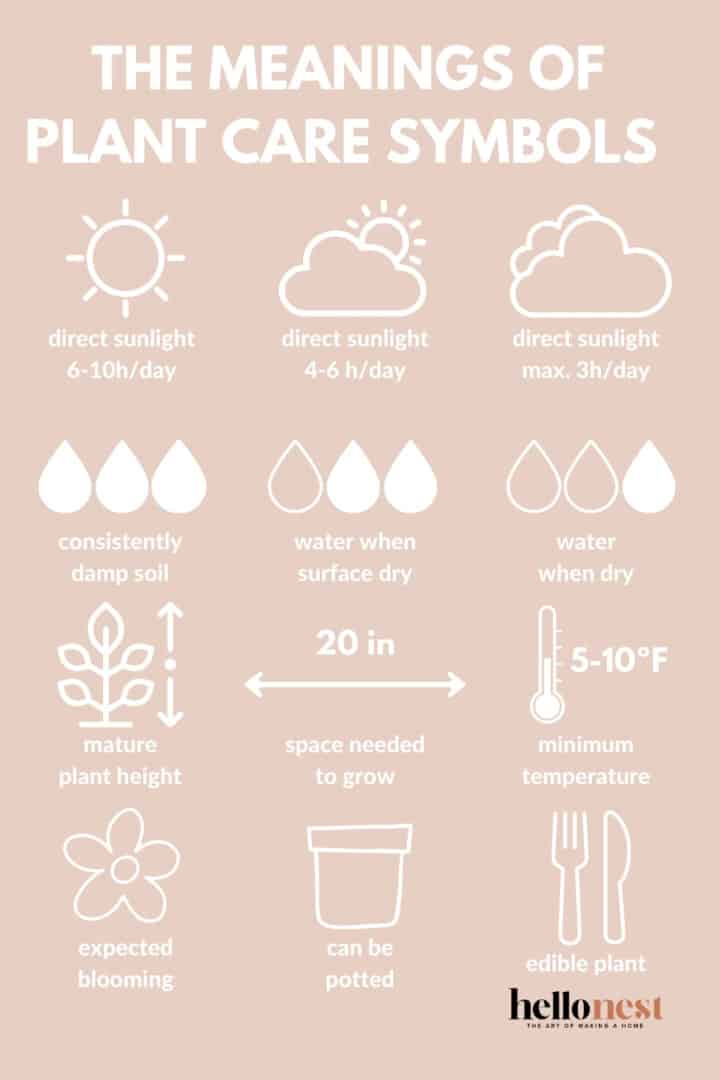 How to Decipher Plant Care Symbols + Their Meanings | Hello Nest