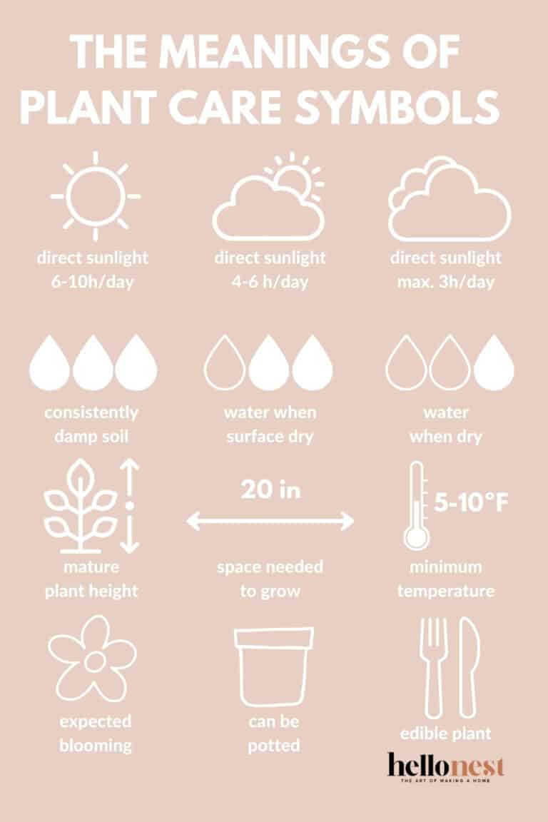 How to Decipher Plant Care Symbols + Their Meanings | Hello Nest